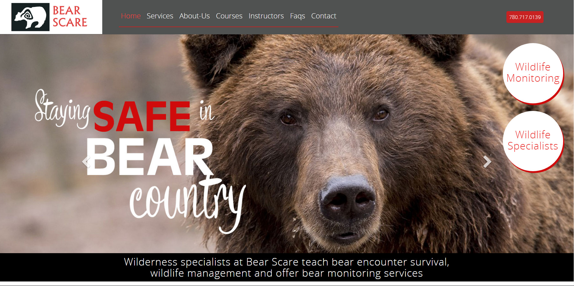Bear Scare | Hazard Assessment | Inspection | Remediation | Bear Scare